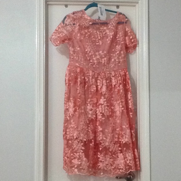Coeur De Vague | Dresses | Nwt Coeur De Vague Red Floral Sheer Overlay ...